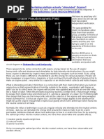 Morphogenetic Field Effects and Applications | PDF | Beehive | Insects