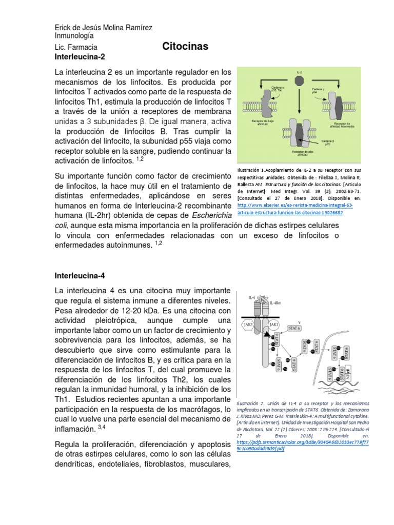 Interleucinas 2 y 4 | PDF | Citocina | Bioquímica