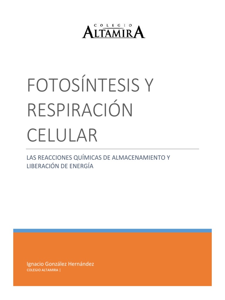 Dossier Fotosíntesis, Respiración Celular e Impacto Ambiental | PDF ...