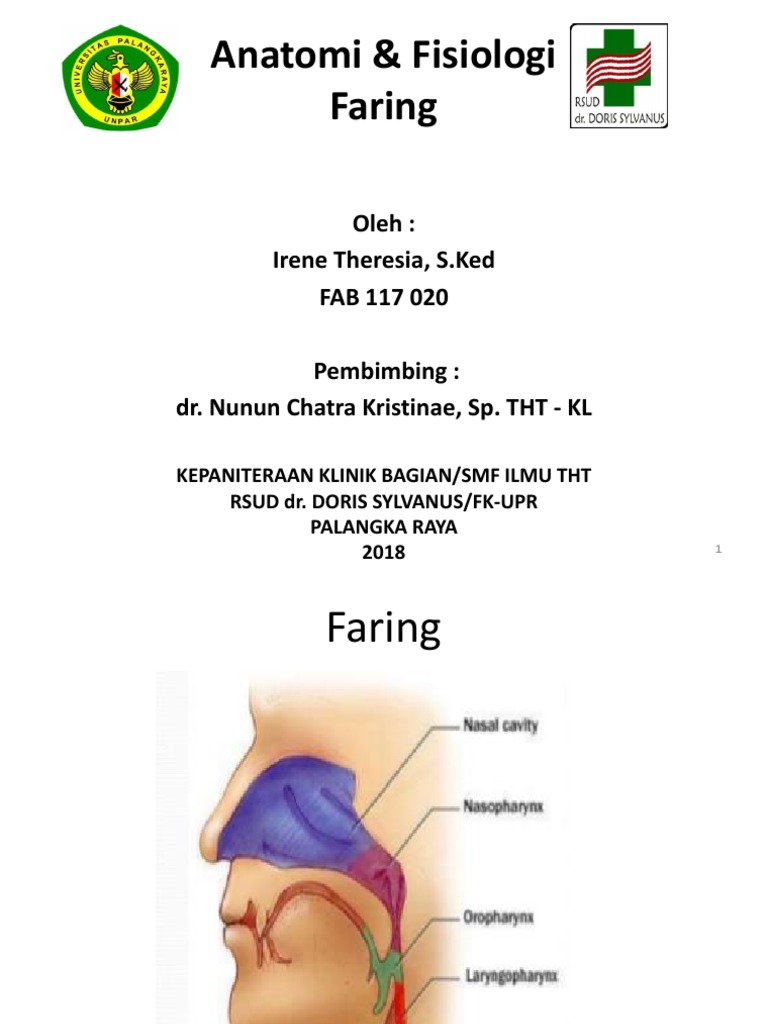 Anatomi Faring | PDF