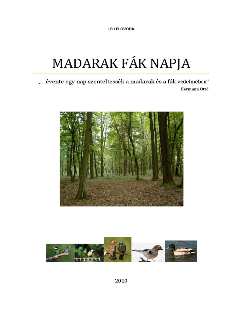 Madarak Fak | PDF