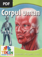 Atlas Anatomie Netter - Romana | PDF