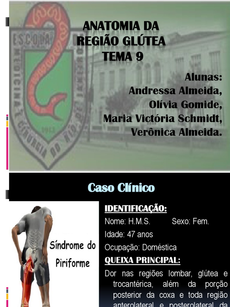 Anatomia da Região Glútea e Irrigação | PDF | Artéria | Nervo