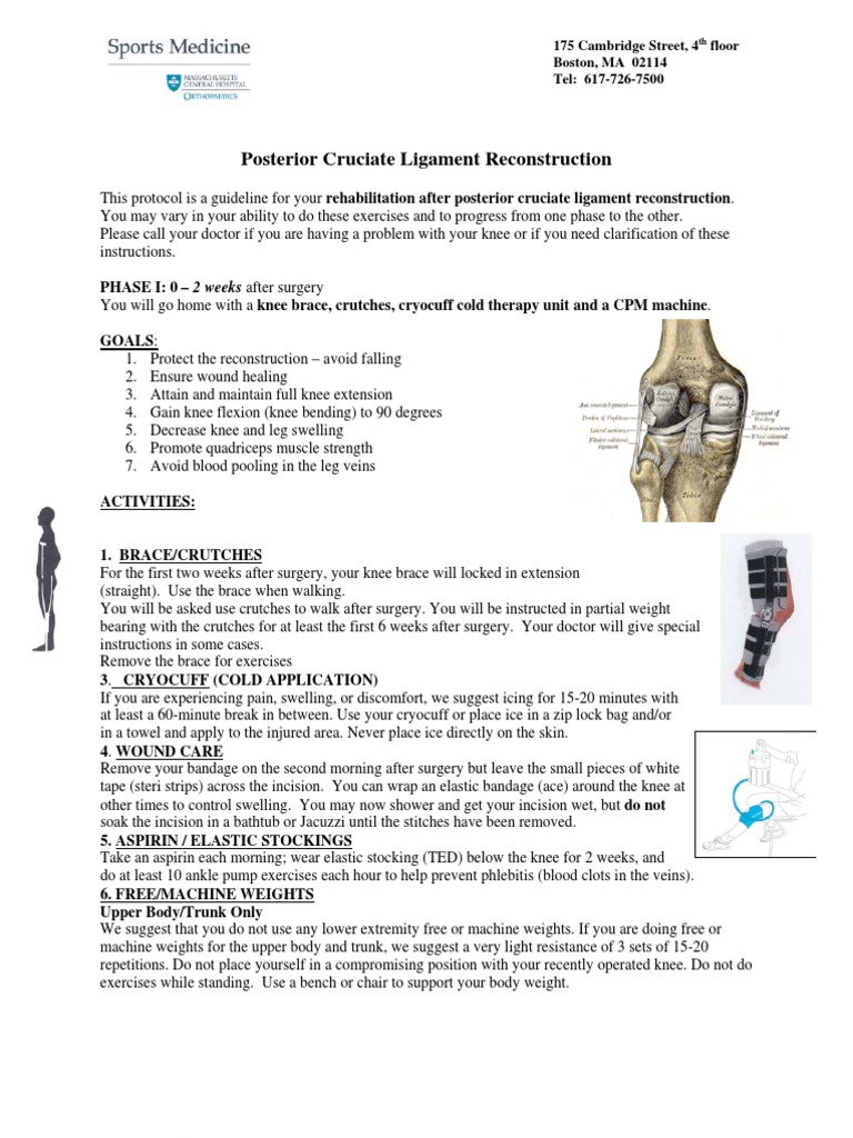 Posterior Cruciate Ligament (PCLR) Rehabilitation Protocol | PDF | Knee ...
