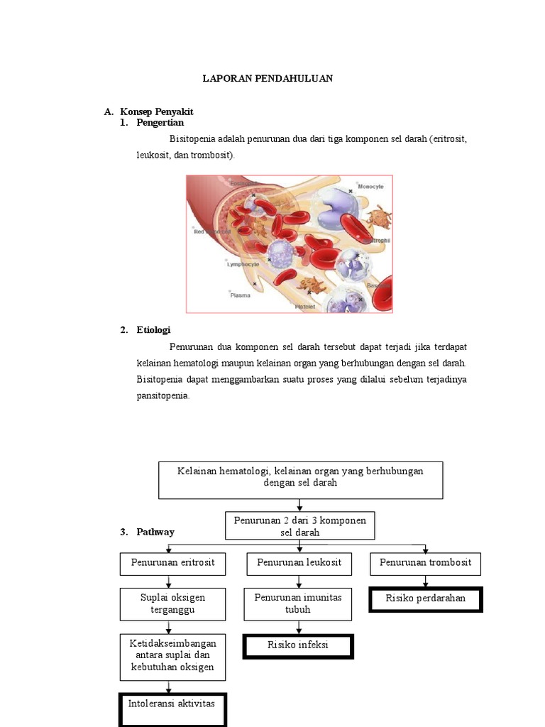 LP Bisitopenia | PDF