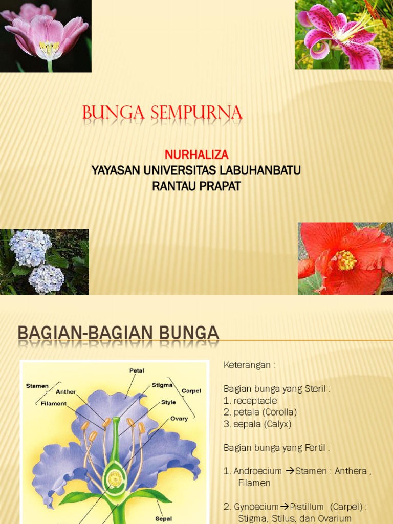 Bunga Sempurna | PDF | Kesehatan Holistik