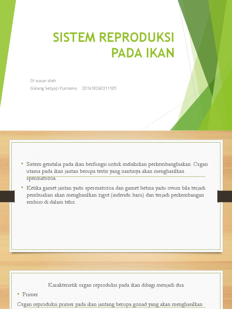 Sistem Reproduksi Pada Ikan (Galang Setyaji Purnomo 105) | PDF
