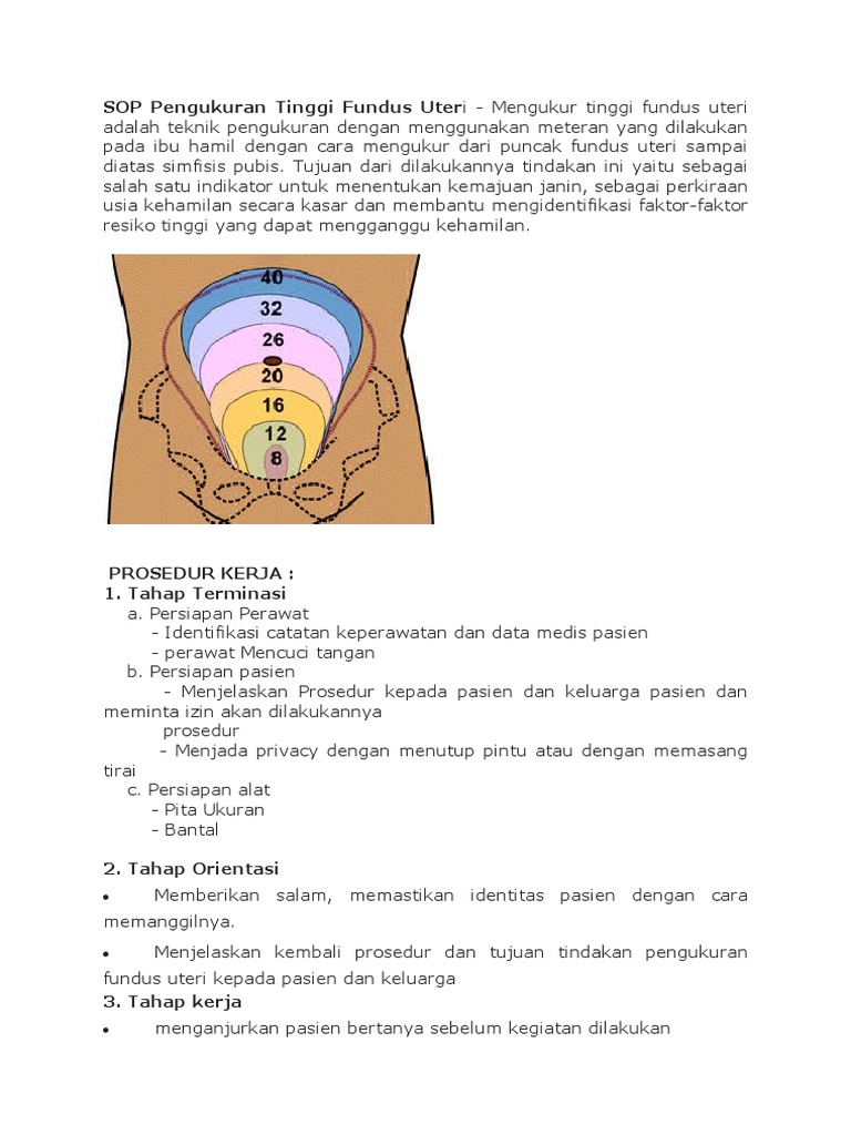 SOP Pengukuran Tinggi Fundus Uteri | PDF