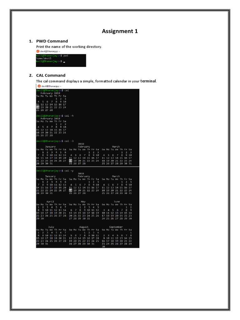 Command Line Fundamentals A Guide To Common Linux Commands Pdf Computer File Operating