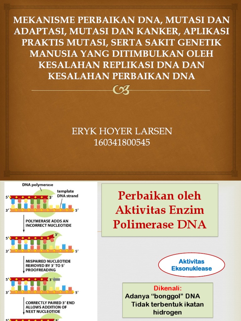 Mekanisme Perbaikan Dna, Mutasi Dan Adaptasi | PDF