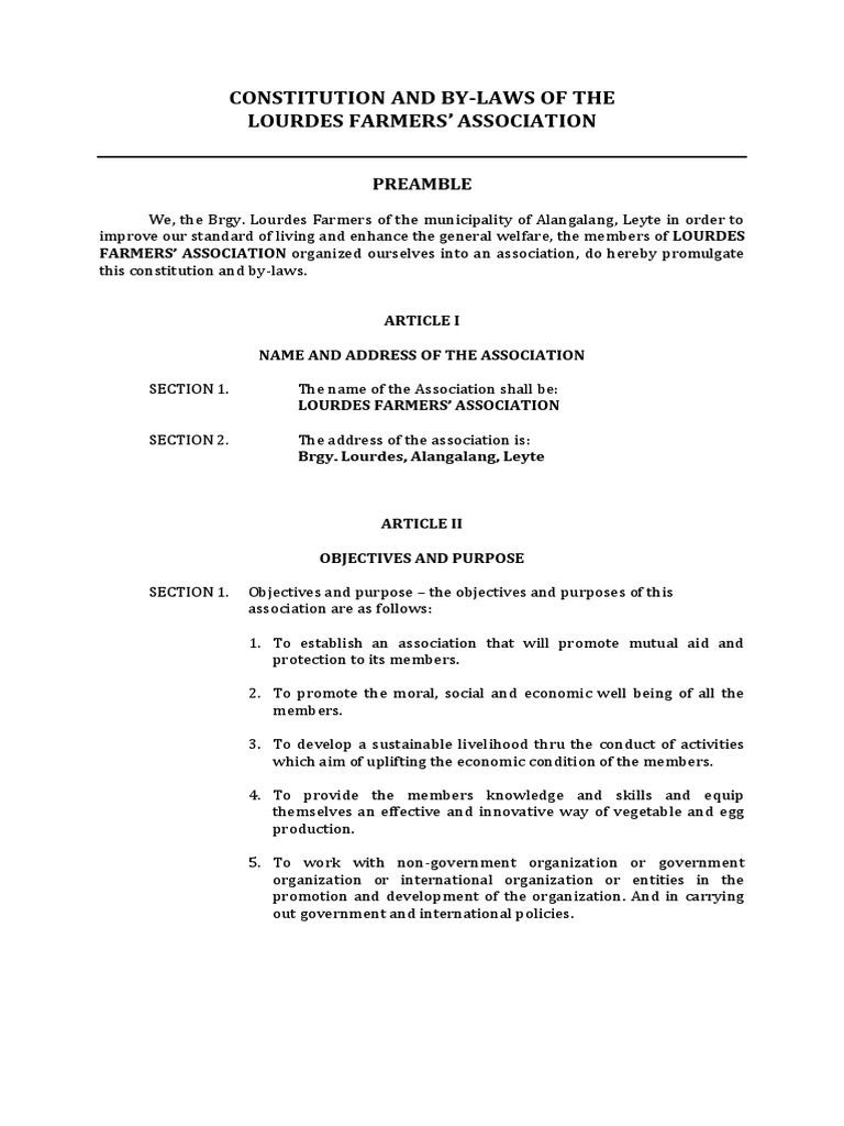 Constitution and By-Laws | PDF | Quorum | United Nations General Assembly