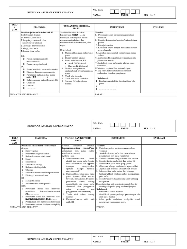 Format Askep Nanda Nic Noc | PDF