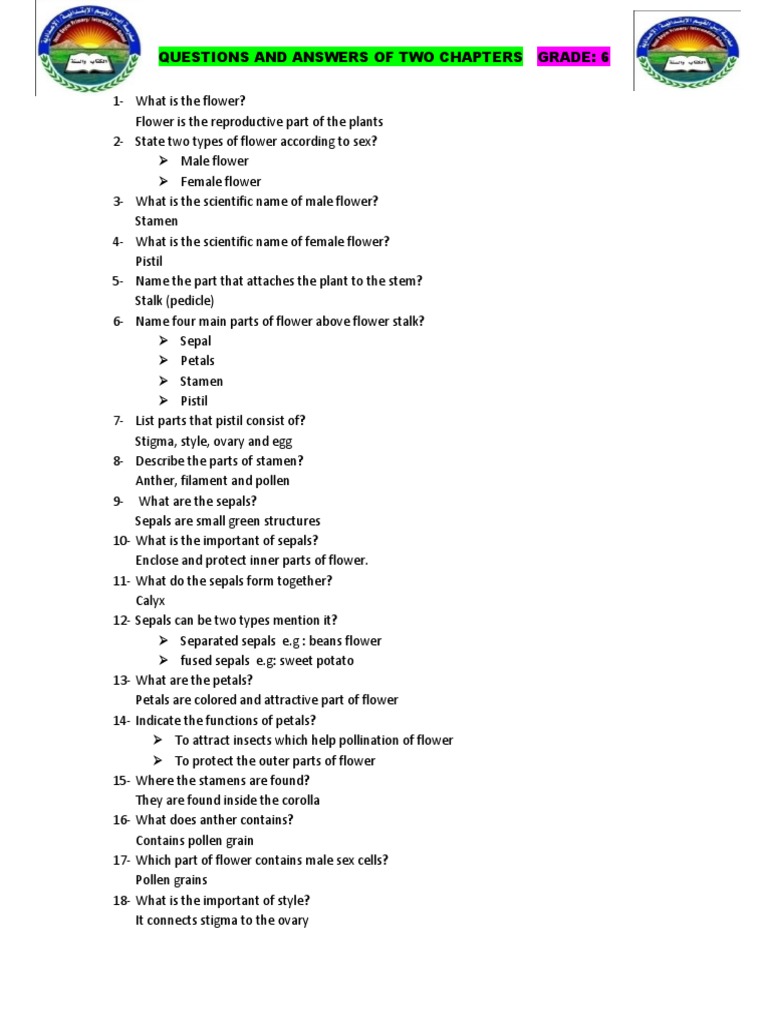 Questions and Answers of Two Chapters Grade: 6 | PDF | Flowers | Petal