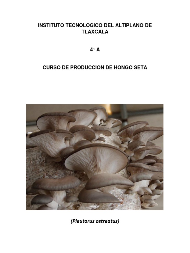 Hongo Z | PDF | Siembra | Hongo