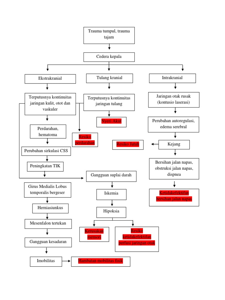 Pathway Cedera Kepala | PDF