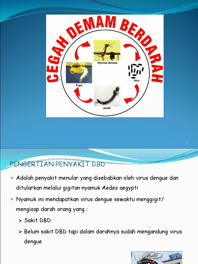 Materi Penyuluhan DBD | PDF