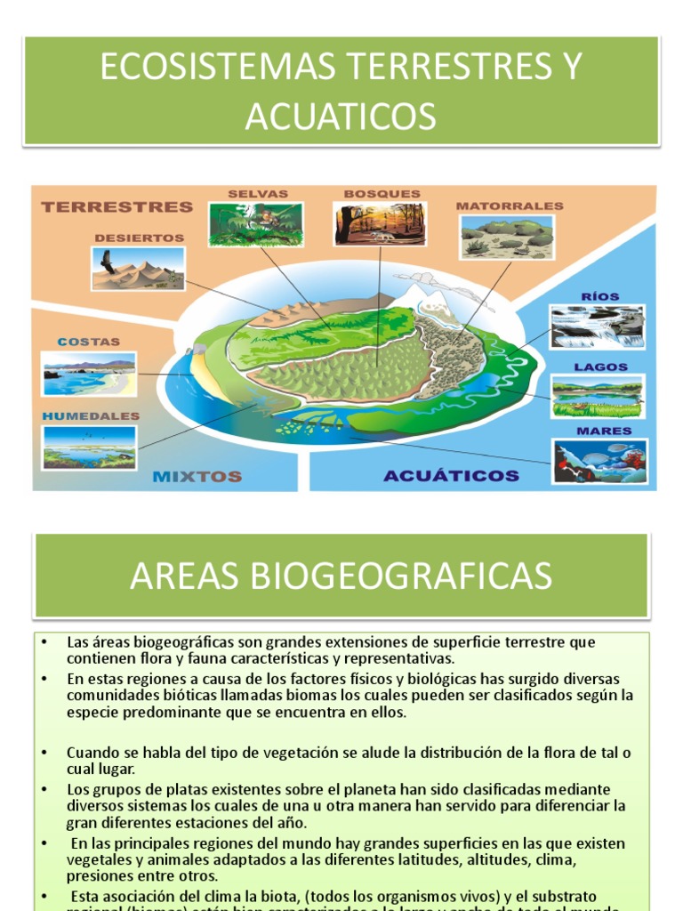 Clases de Ecosistemas - Biomas | PDF | Ecosistema | Selva