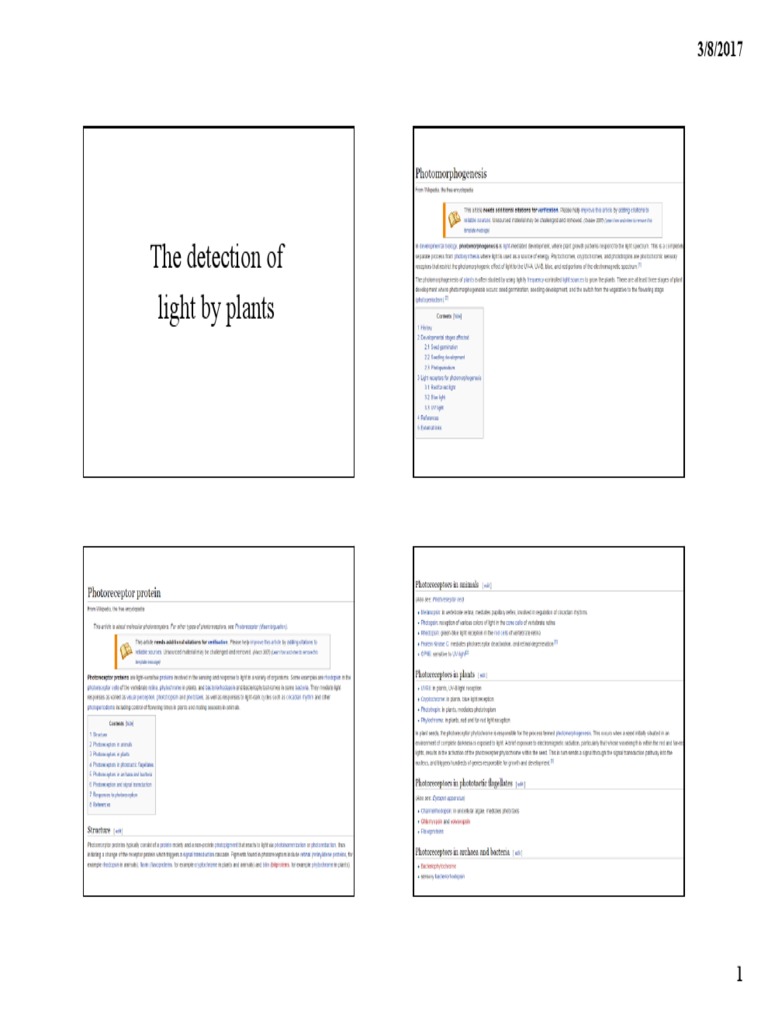 The Detection of Light by Plants | PDF | Circadian Rhythm | Plant ...