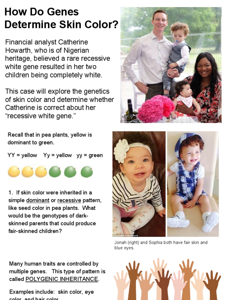 Skin Color Genetics