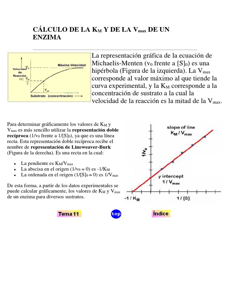 Cálculo de La Km y de La Vmax de Un Enzima | PDF