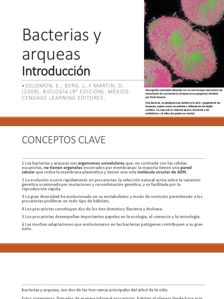 Bacterias y Arqueas | PDF | Archaea | Las bacterias