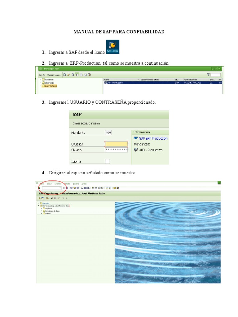 Manual de Sap para Confiabilidad | PDF | Archivo de computadora | Áreas ...