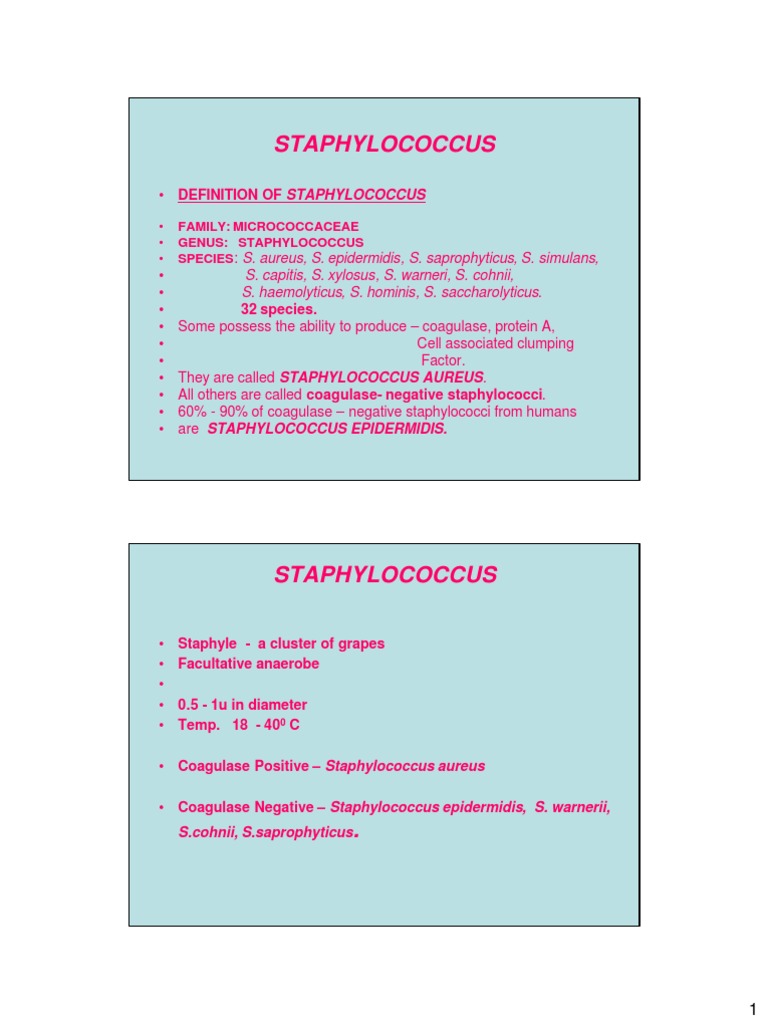 Staphylococcus Epidermidis | PDF | Staphylococcus | Staphylococcus Aureus