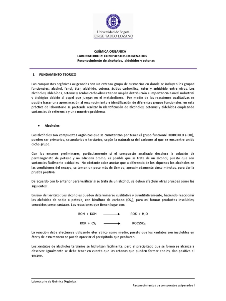 Guia 2 Compuestos Oxigenados I | PDF | Alcohol | Cetona