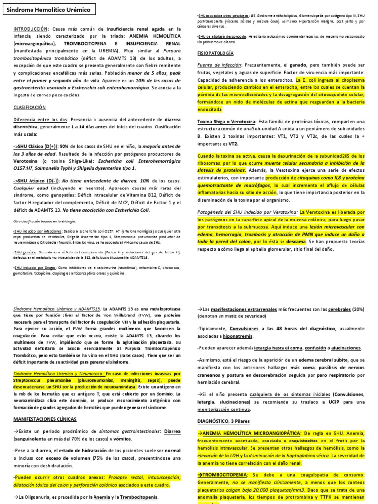 Sindrome Hemolítico Urémico (Resumen Ecoe) | PDF | Escherichia coli | Diarrea