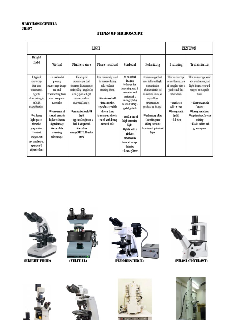 Types of Microscopes: An Overview of Light and Electron Microscopy ...