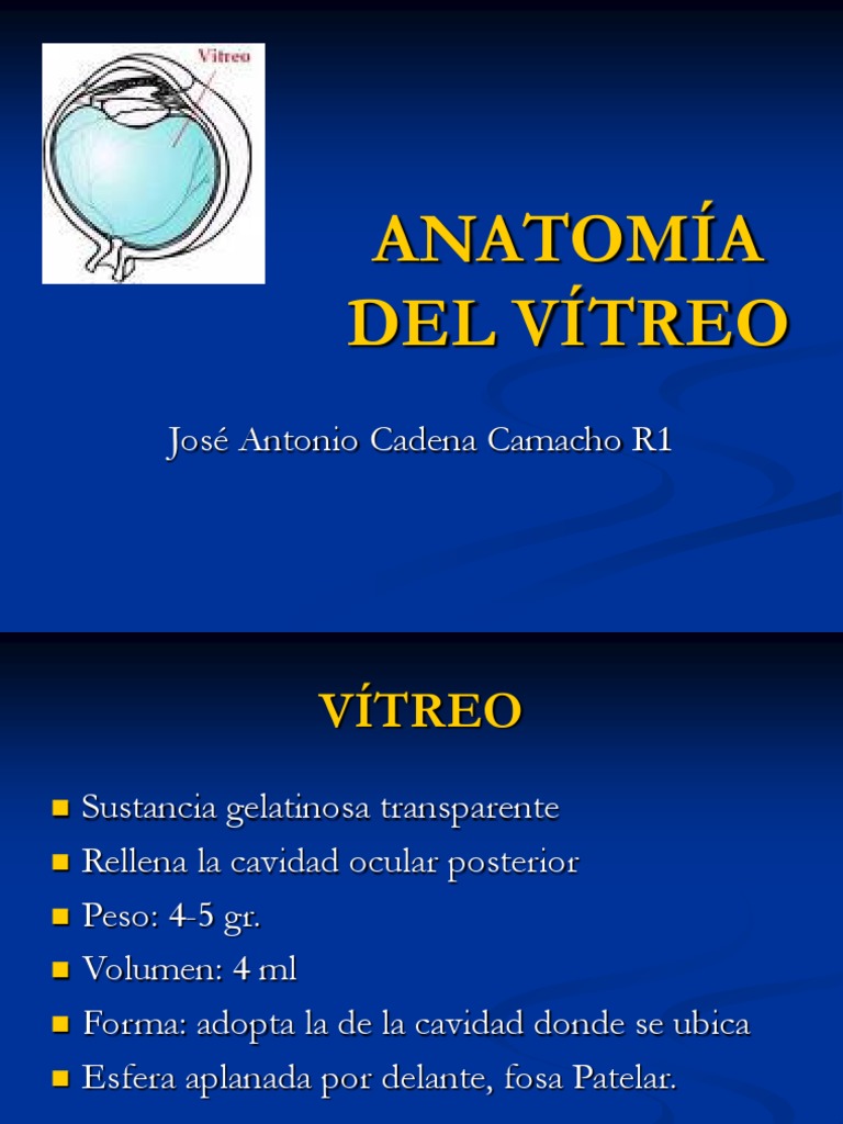 Anatomía Del Vítreo