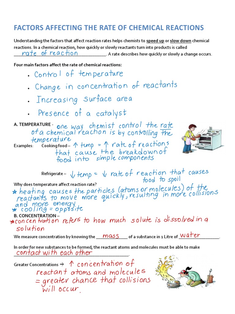 Factors Affecting The Rate of Chemical Reactions Notes Key 1 | PDF ...