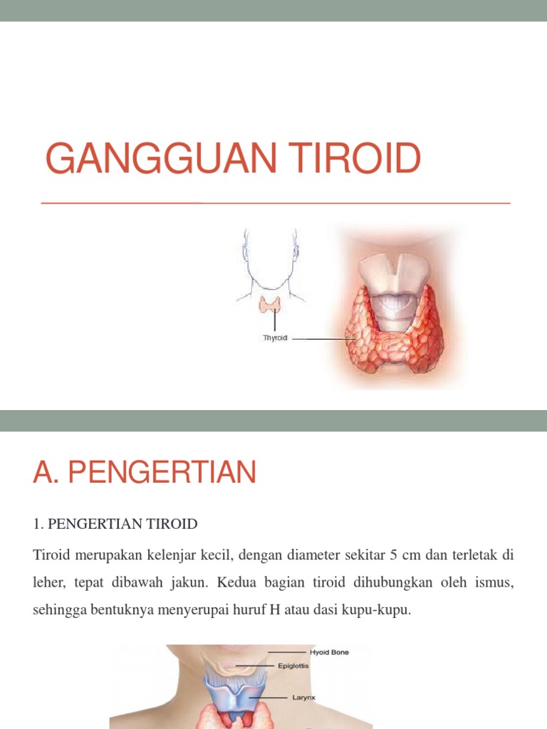 Panduan Gangguan Tiroid | PDF | Kesehatan Holistik