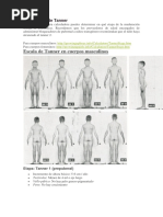 La Escala de Tanner | PDF