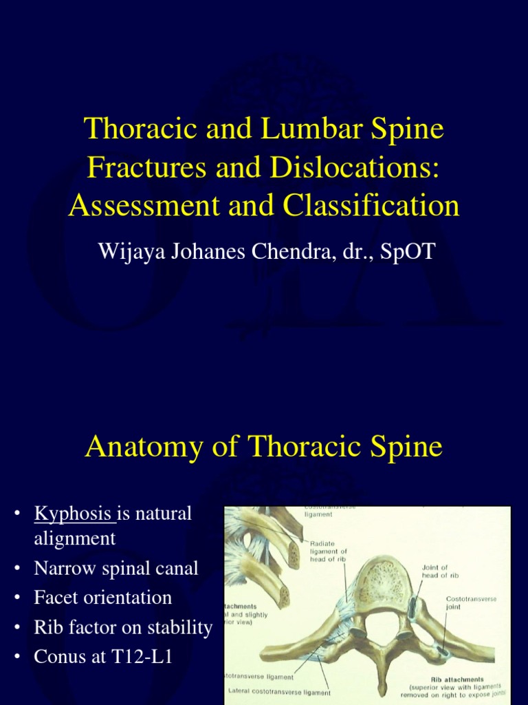 Spine Fracture and Dislocation | PDF | Spinal Cord | Vertebral Column