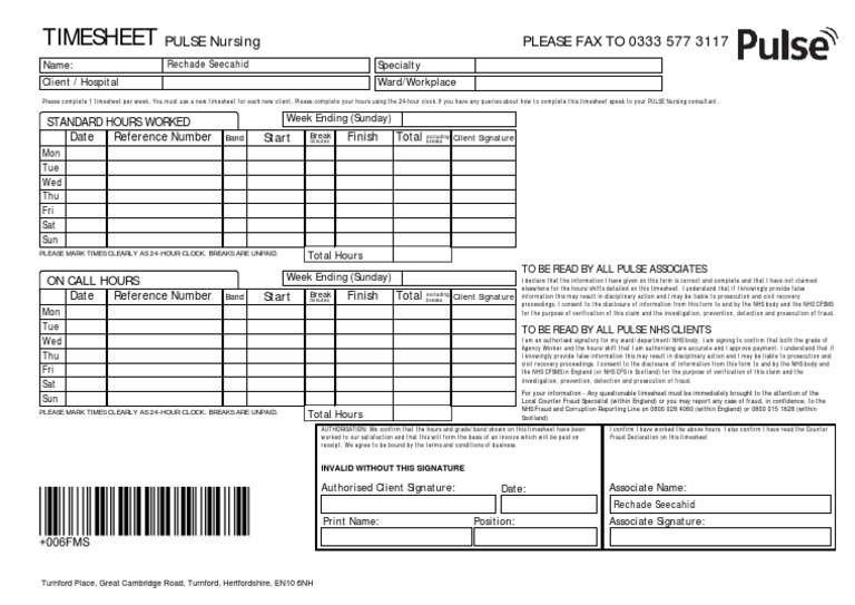 Pulse Timesheet PDF | PDF | Government | Business (General)