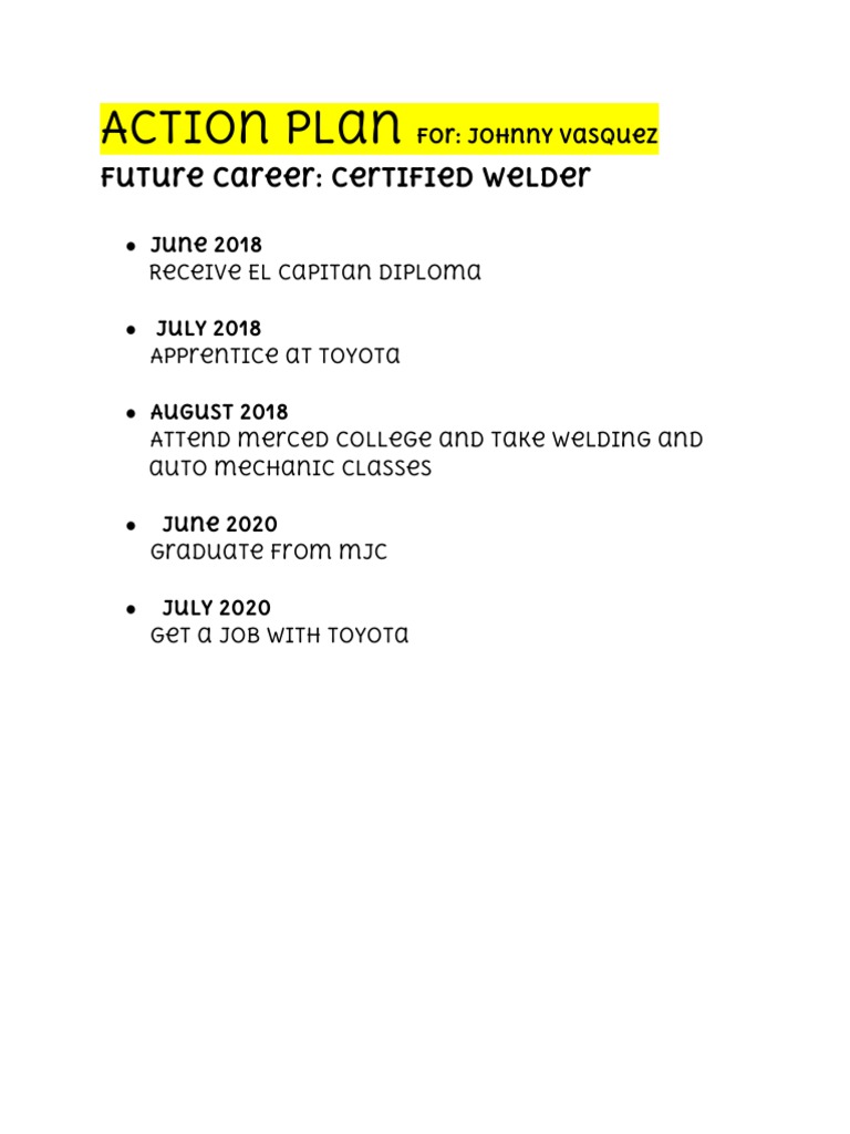 Action Plan Website | PDF