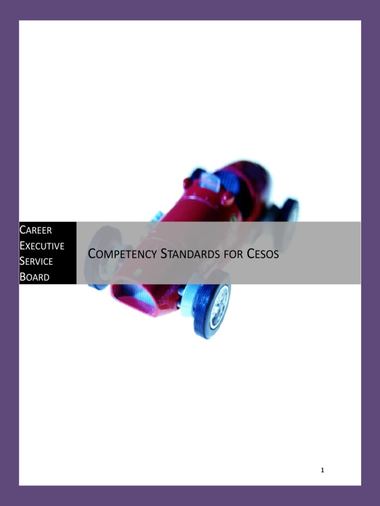 Complete Copy of The Competency Standards For CESOs | PDF | Competence ...