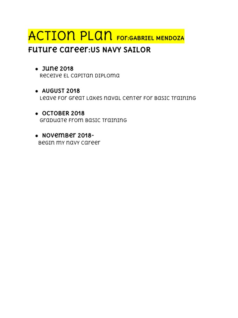 Action Plan 1 | PDF | Military Forces | Military Science