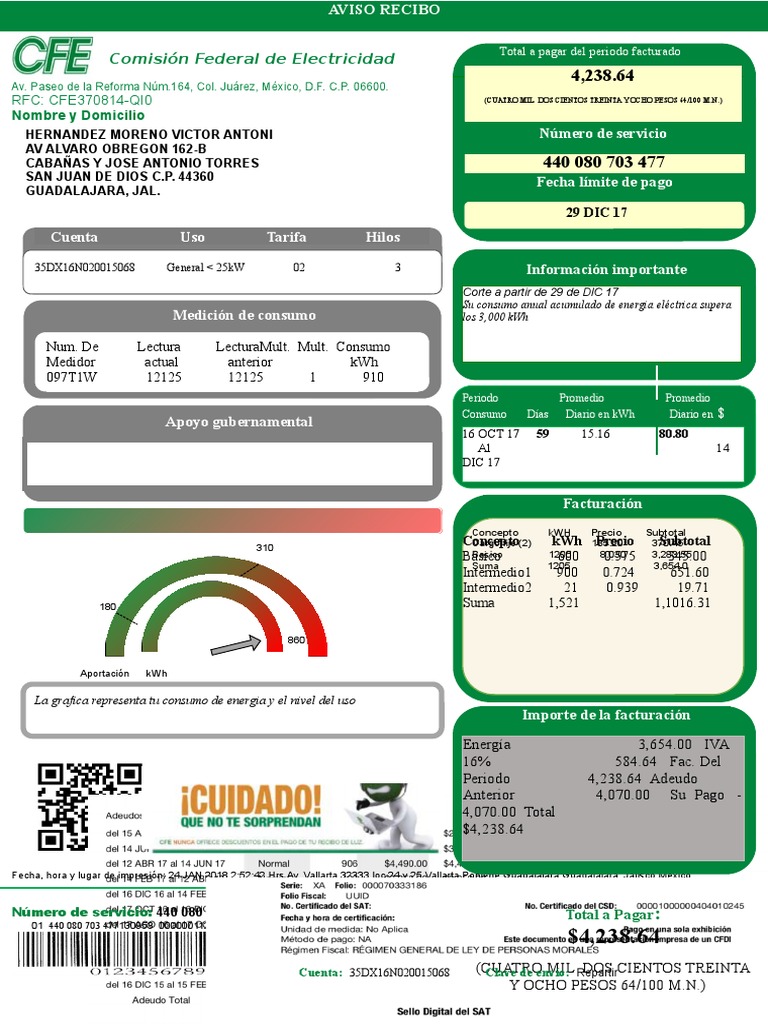 Cfe Plantilla | PDF | Business | Naturaleza