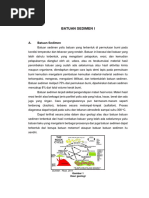 Batu Rijang Dan Proses Pembentukannya | PDF | Ilmu Sosial