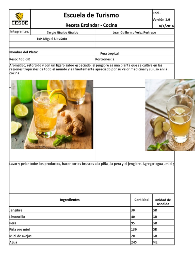 Formato Receta Estándar (Bebida) | Piña | Jengibre