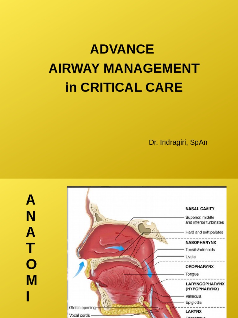 Advance Airway | PDF | Sains & Matematika