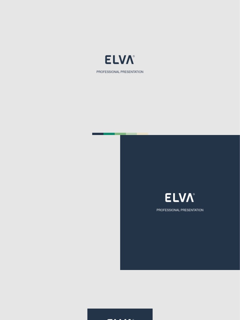 Elva Presentation | PDF