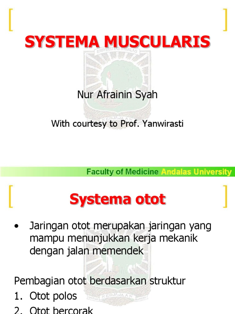 Struktur dan Jenis Otot Manusia | PDF | Kesehatan Holistik | Sains ...