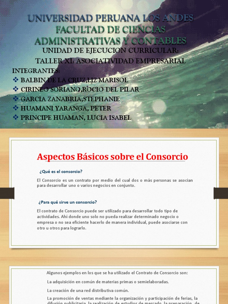 CONSORCIOS | PDF | Consorcio | Contabilidad