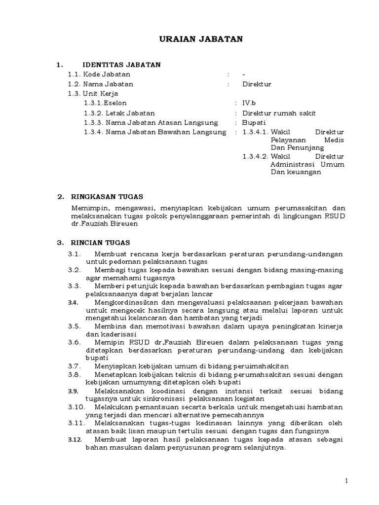 Form Anjab - Direktur | PDF