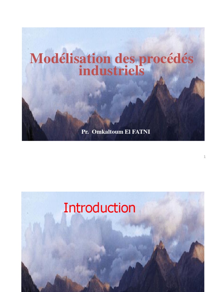 Chapitre 1 Modélisation | PDF | Modèle mathématique | Cinétique chimique