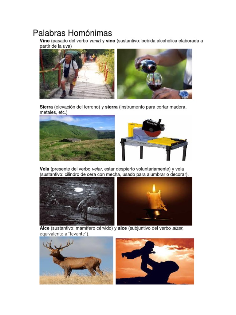 20 Palabras Homónimas | PDF
