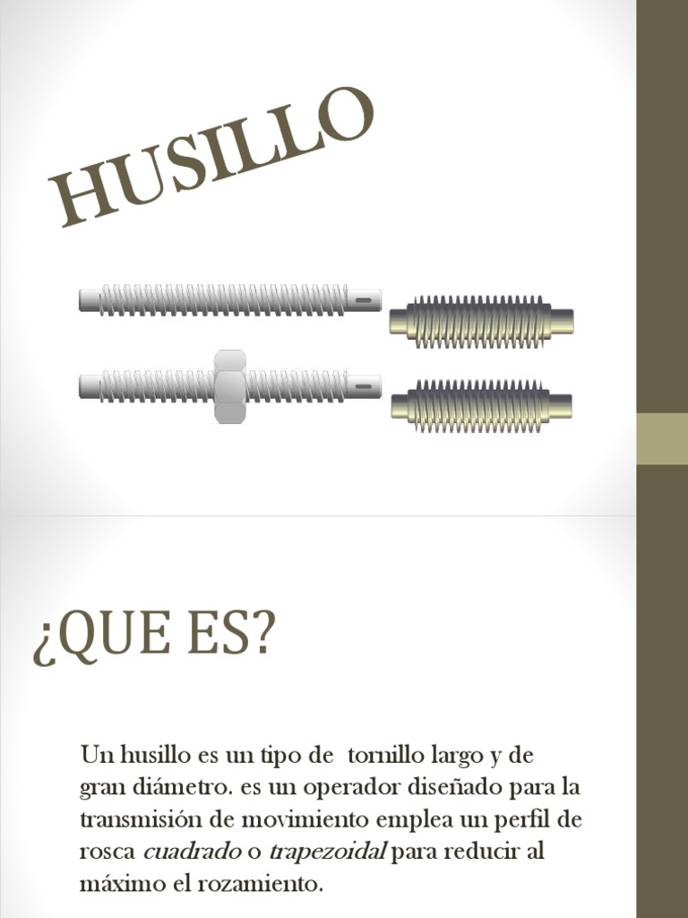 Husillo Exposición | PDF